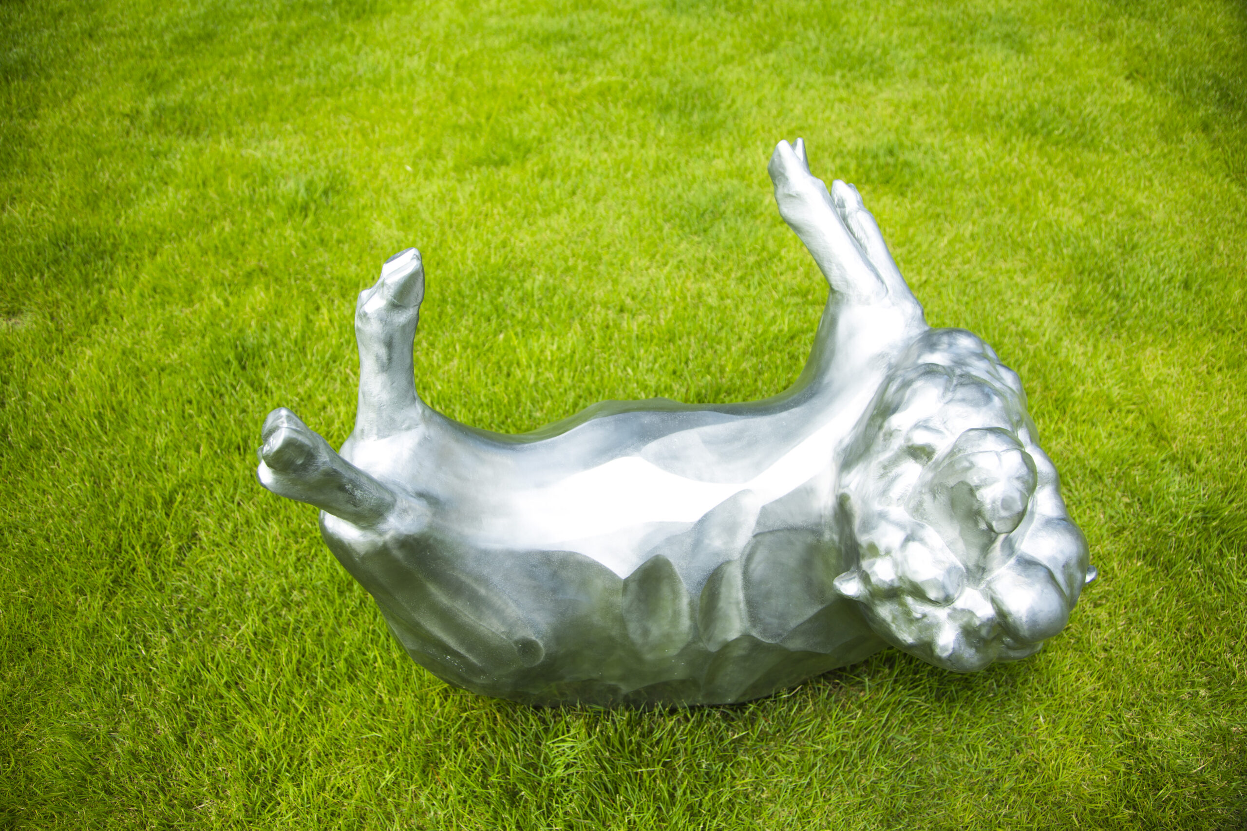 POTAN SHEEP / WA!moto.