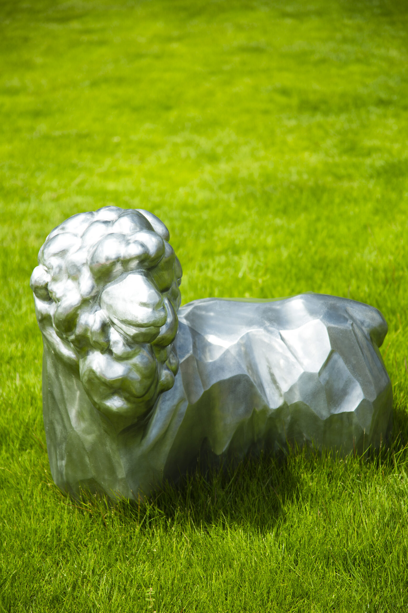 POTAN SHEEP / WA!moto.