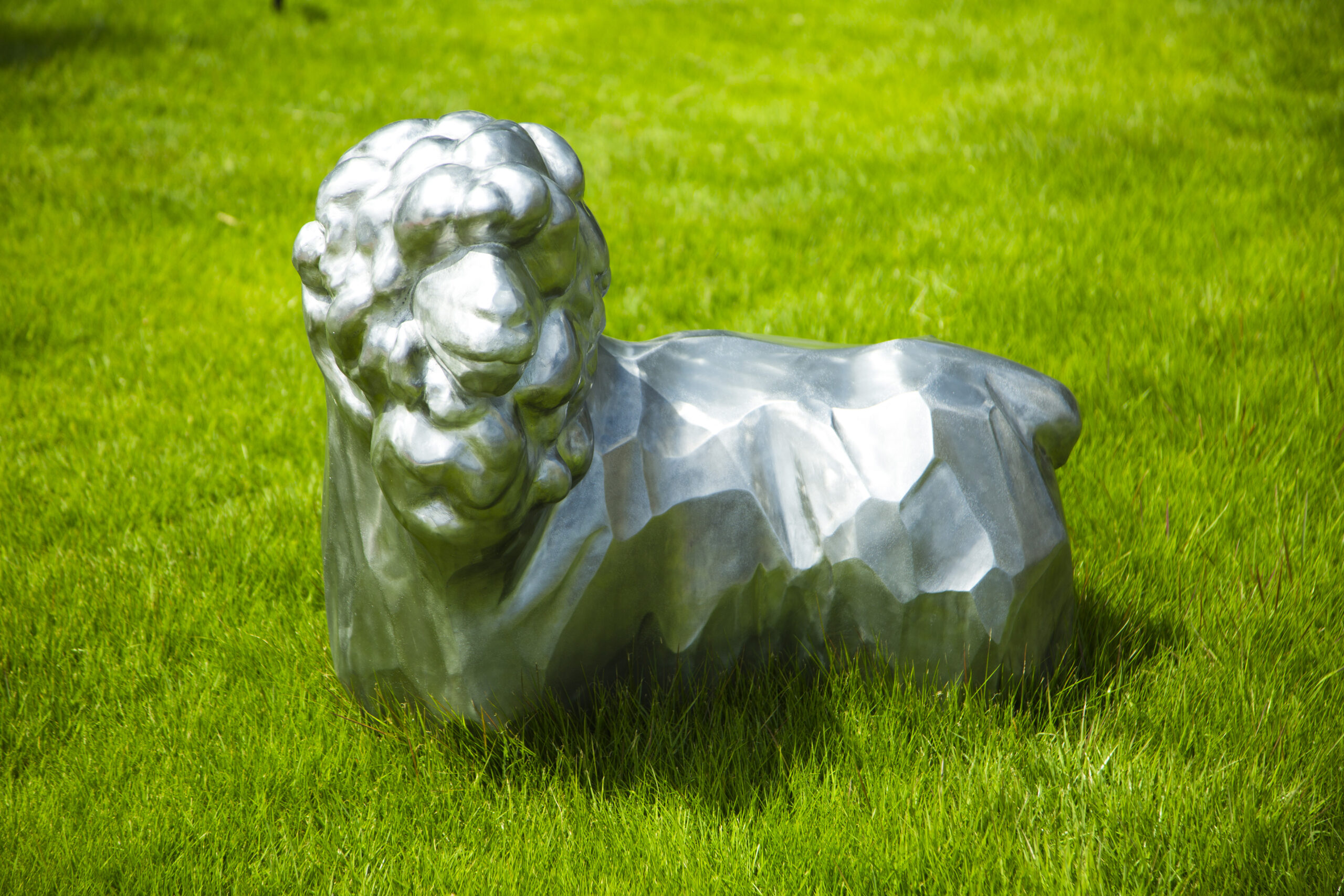 POTAN SHEEP / WA!moto.